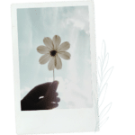 Hochsensibilität verstehen und als Stärke nutzen - Lisa Simon